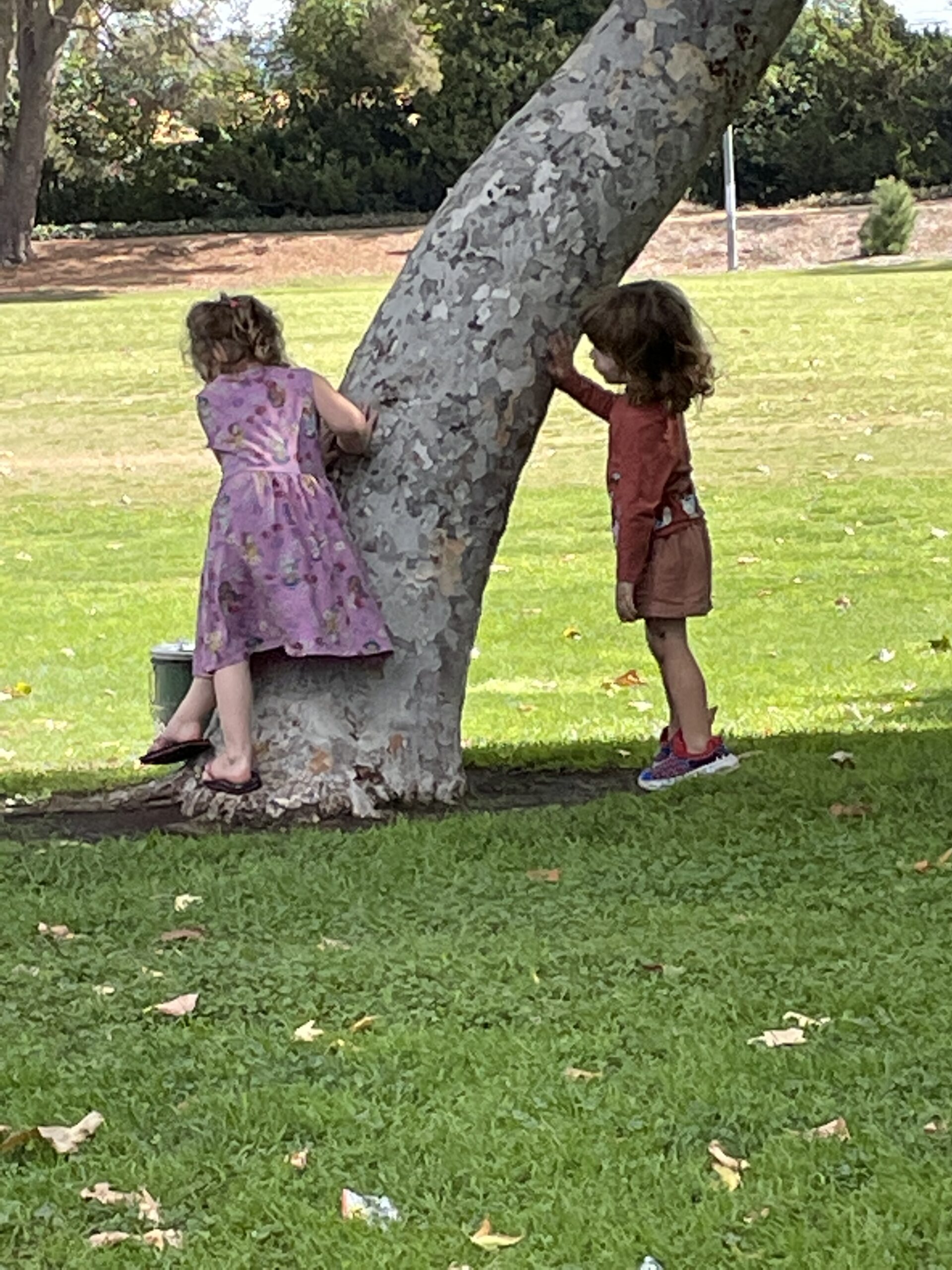 Do You Recall Your Childhood Holidays? - Miss Suzanne Blog