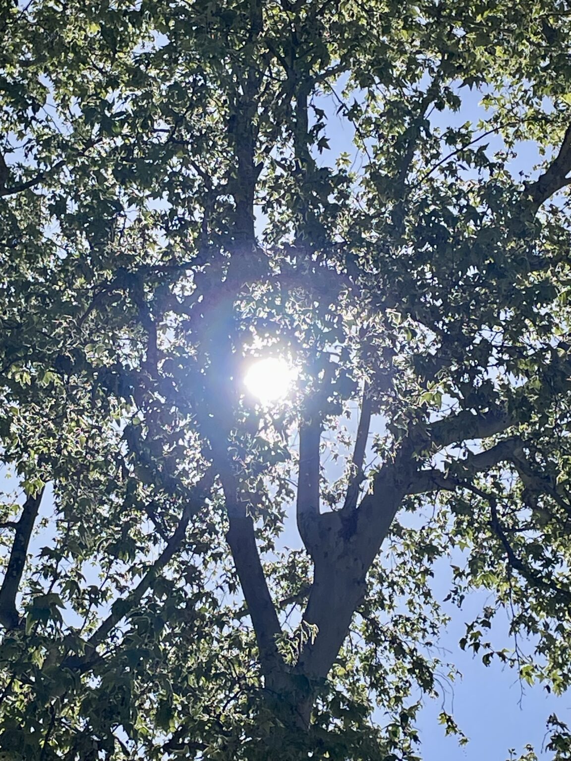 WHAT DOES THE WORD "FALL" MEAN TO YOU? - Miss Suzanne Blog